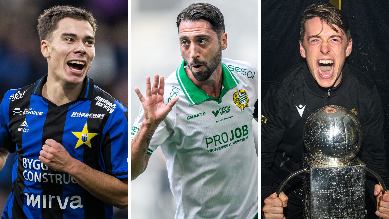Allsvenska panelen: Han är årets bästa spelare