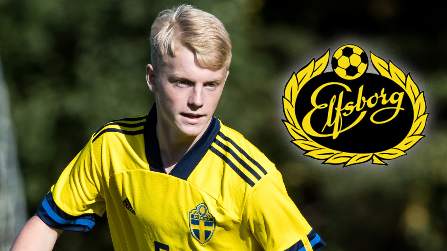 Uppgifter: Elfsborg vill värva Oliver Klang från FC Nordsjælland
