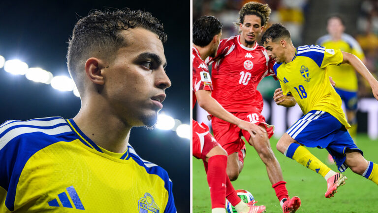 Ayari fick mothugg av arabisk press – efter orden om Tunisien ...